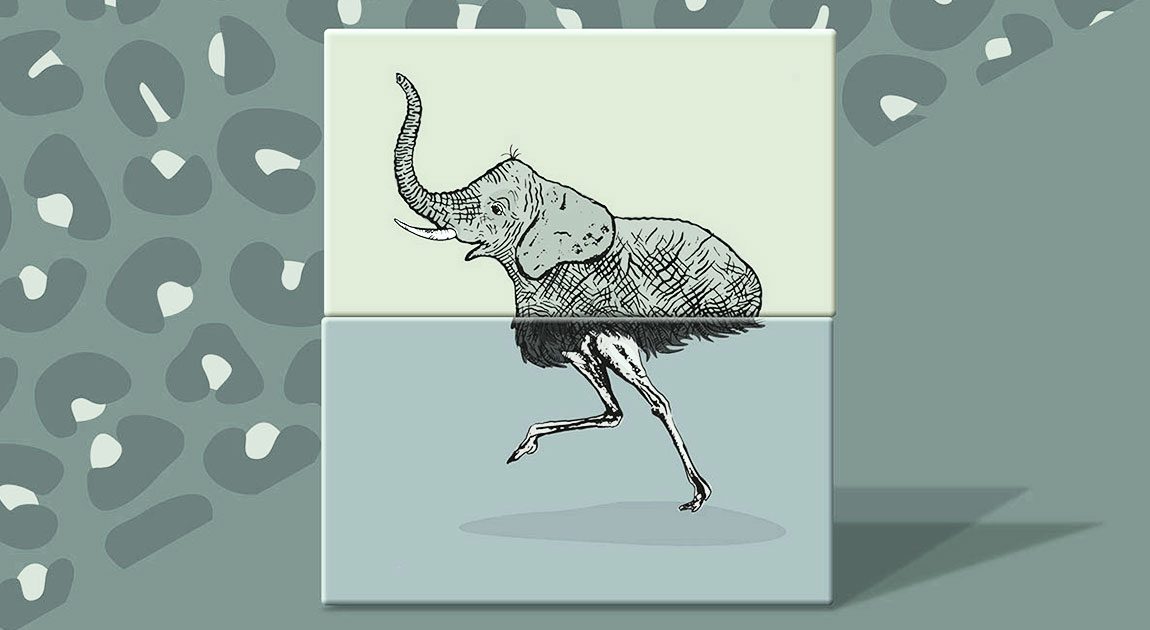 Dissonance: Walking the Tightrope of Design Disruption